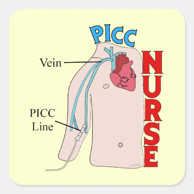 Adesivo Quadrado Presentes Anatômicos de Design de Enfermeira PICC ...