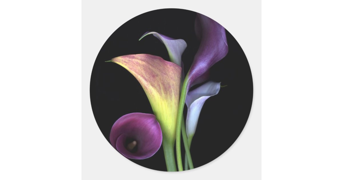 Adesivo Redondo Calla Lily Stickers | Zazzle Brasil