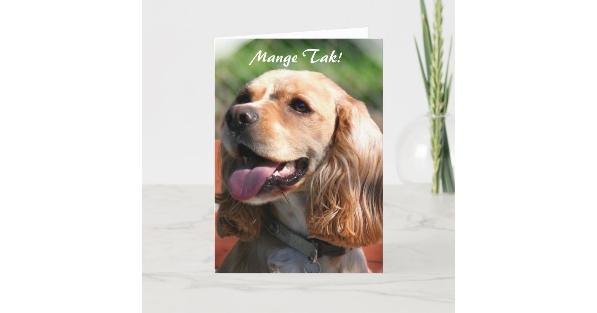 Cartão De Agradecimento Mange Tak Thank You Cocker spaniel greeting ...