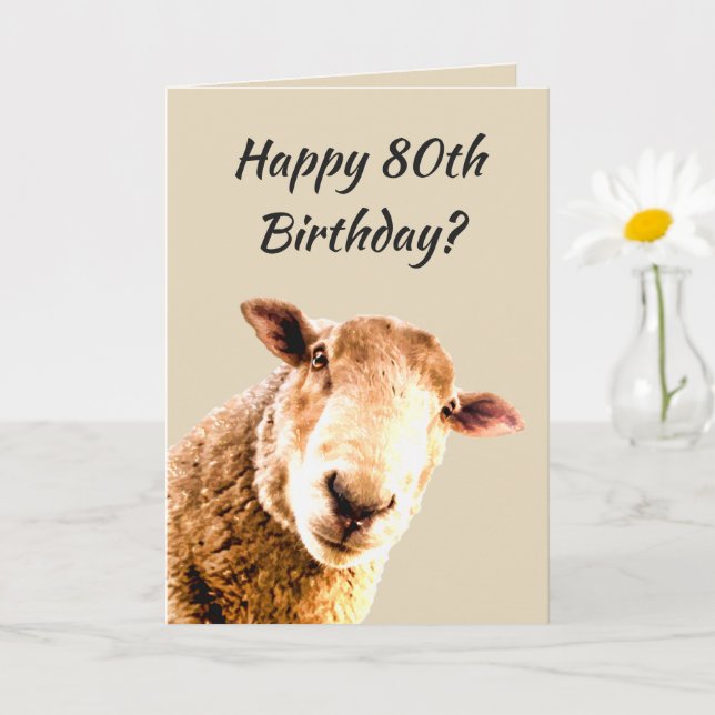 Animal Engracado Meme De Aniversario