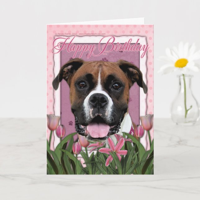 Feliz Aniversario Caes Boxer