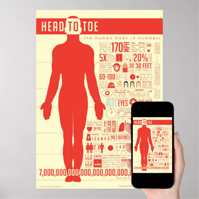 Corpo Humano em Números Poster | Zazzle Brasil