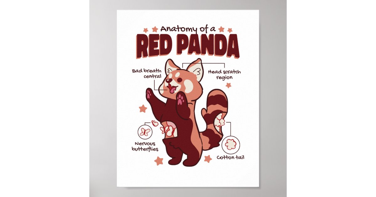 Poster Anatomia de um Amante de os animais de Panda Verme | Zazzle Brasil