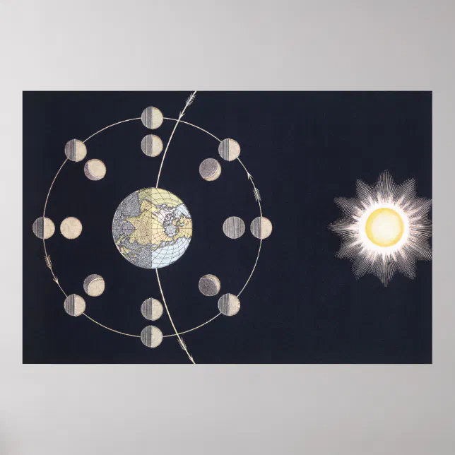 Diagrama De Fases Da Lua Para Rotular