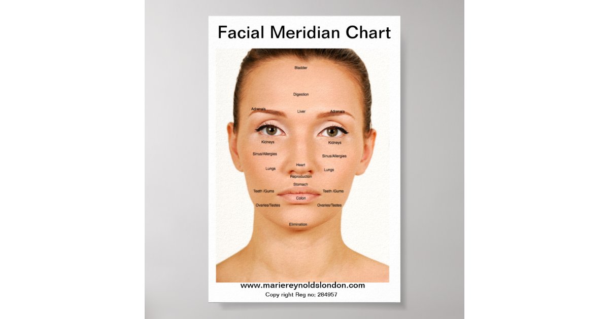 Pôster Gráfico do Meridiano Facial | Zazzle Brasil