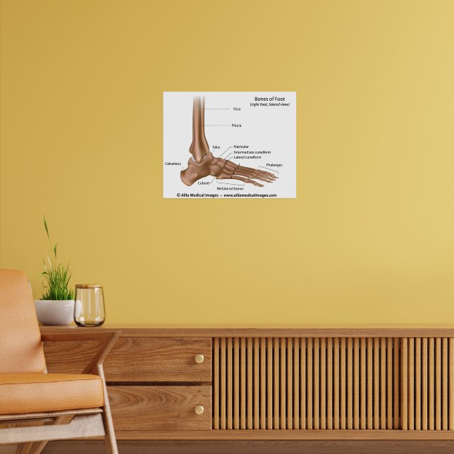 Diagrama De Orelha Rotulado Principais Setores E Processos