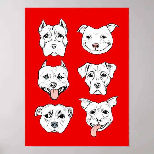 Pôster "Pittie Pittie, por favor!" Padrão de Desenho de C | Zazzle Brasil