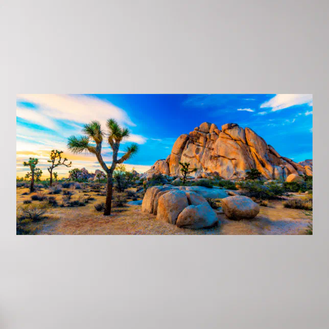 Poster Rocha Velho - Parque Nacional Joshua Tree | Zazzle Brasil