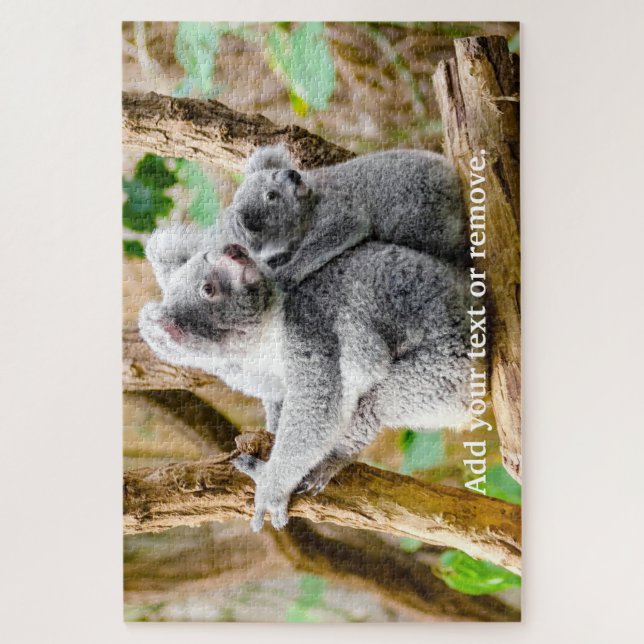 Fotos De Urso Coala Um Urso Coala Dormindo Em Um Galho De árvore